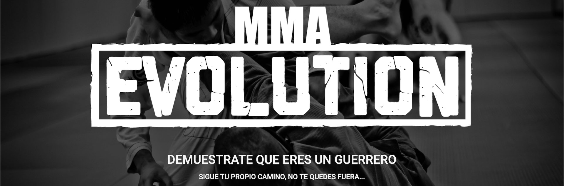 Tienda | Evolution MMA